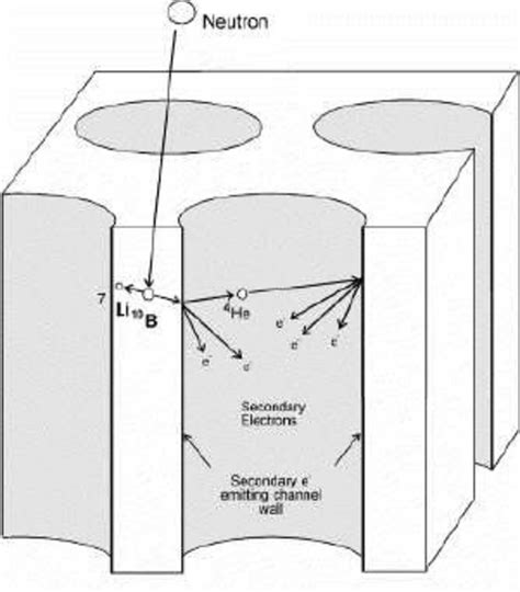 Detection Mechanism Of The MCP Based Detectors Download Scientific Diagram