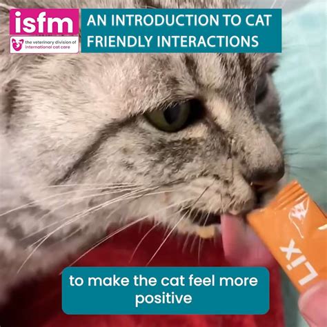 🎉 Two New Cat Friendly Guidelines Published Jointly By Isfm And American Association Of Feline