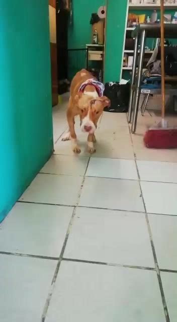 Mi Niña Me Sorprendes Descubriste Que Puedes Caminar Y Te Sales De Tu