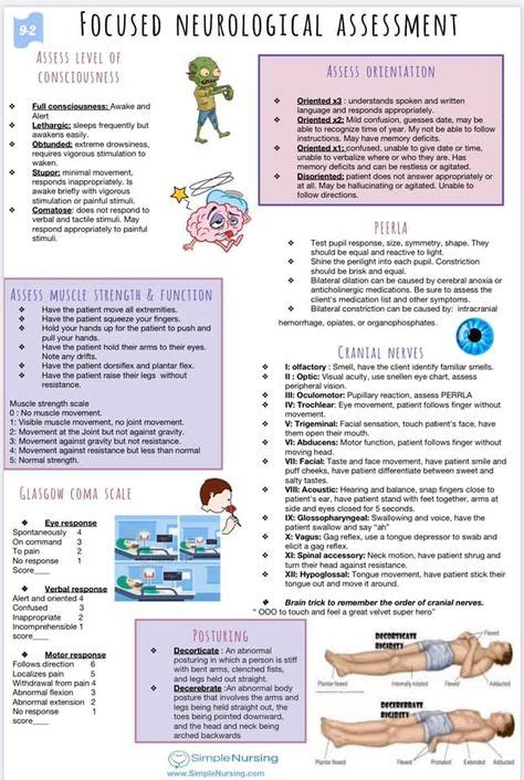 Neurology Notes