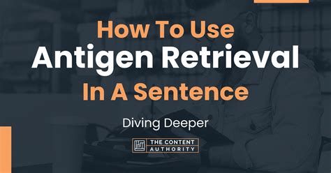 How To Use Antigen Retrieval In A Sentence Diving Deeper