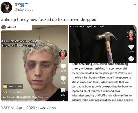 Bonesmashing Bone Smashing Know Your Meme