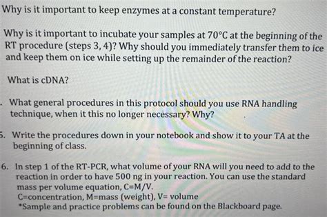 Solved In the RT-PCR experiment that you will perform over | Chegg.com
