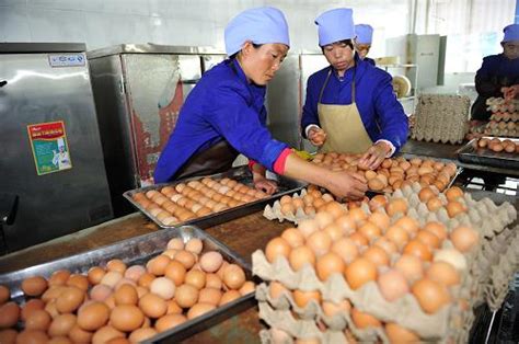 “营养改善计划”惠及宁夏26万学生