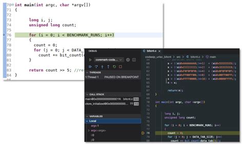 Configurable Lldb For Not Only Embedded Risc V Processors Codasip