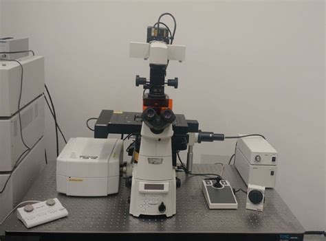 Neuroimaging And Electrophysiology Facility Services