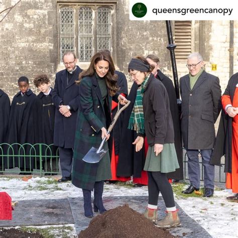 Kate Plants 🌱 A Tree 🌲 Rkateandmeghan