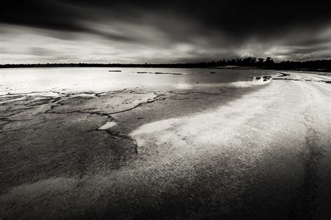 Monochrome Madness 7 Emotions Leanne Cole