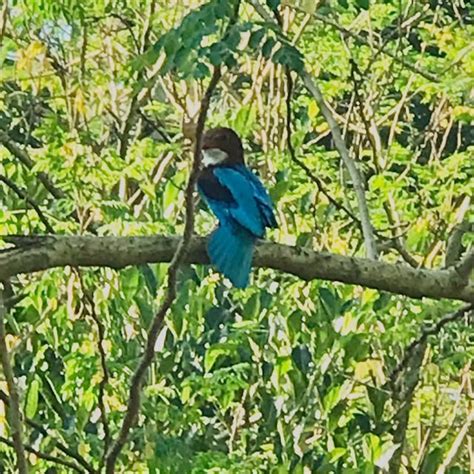 Atna H Atanana On Threads