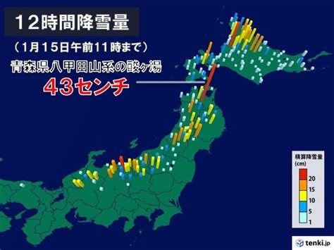 青森は半日で40センチ以上の雪 明日16日にかけて北海道、東北、北陸は大雪に警戒気象予報士 日直主任 2024年01月15日 日本気象