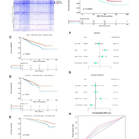a unsupervised clustering of the rna modification phenotype related