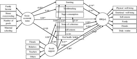 Parsimonious Model Of Associations Between Socioeconomic Status Social Download Scientific