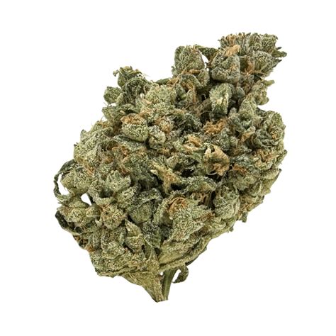 L A Push Pop Exotic Thca Flower 25