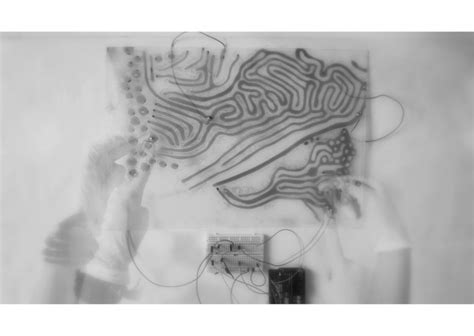 Proskin Graphene Architecture