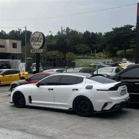 Vehicletuning Supplies 스팅어스팅어마이스터스팅어25다운스프링스팅어다운스프링 On Bunjang With Safe Global Shipping