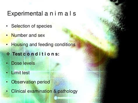 Acute Dermal Toxicity