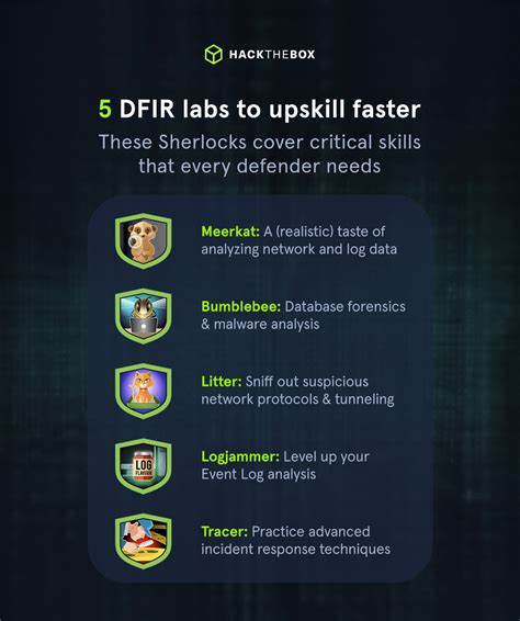 our top 5 dfir labs for beginner analysts to get good fast