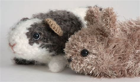 Dwarf Bunny PlanetJune By June Gilbank Blog