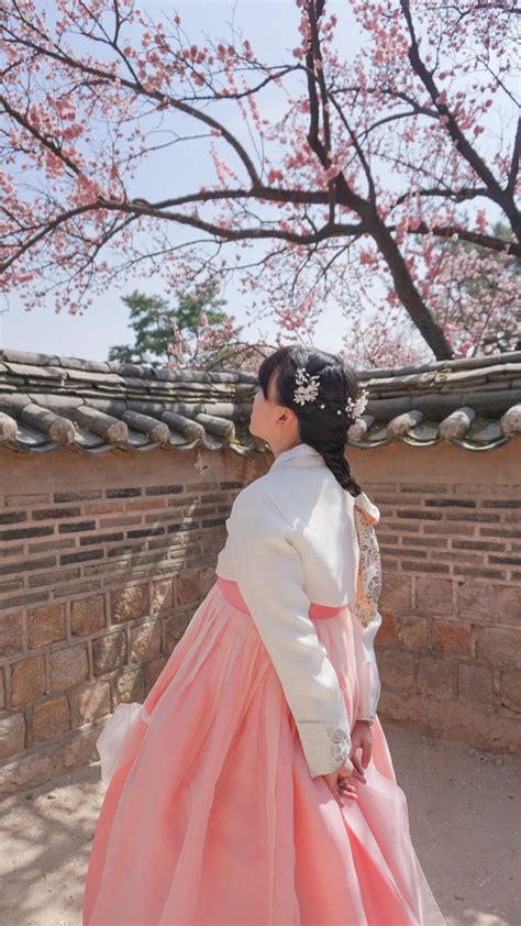 사진 보정 커미션 📸 화사 스냅 On Twitter 🌸 꽃과 한복 🌸 Model Imsohungry777