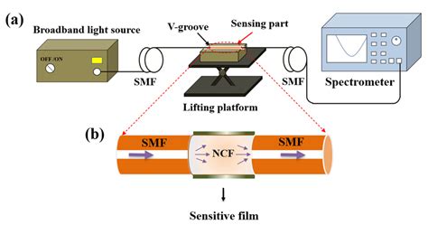 A Experimental Setup For PH Detection B Schematic Diagram Of The Download Scientific