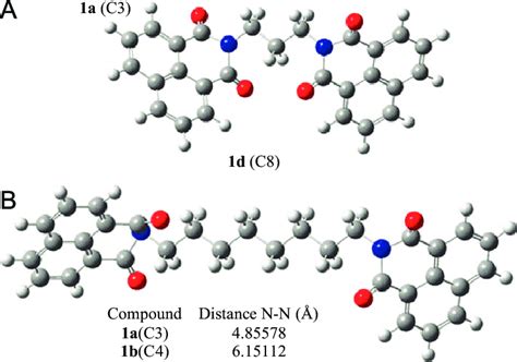 A Optimized Molecular Geometry Of Ni C3 Ni And Ni C8 Ni Derivatives
