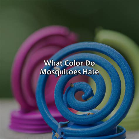 What Color Do Mosquitoes Hate Colorscombo