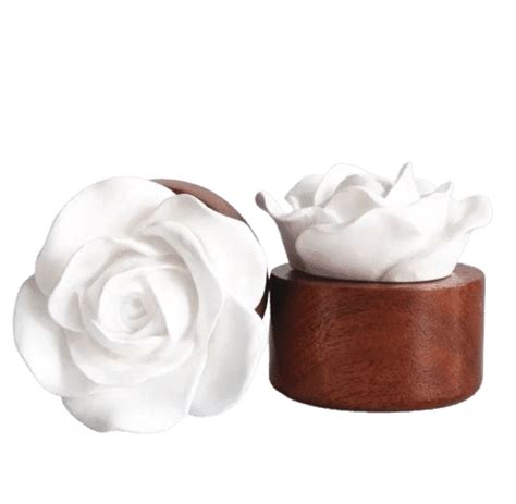 Flower Diffuser Power Aromapure Cc