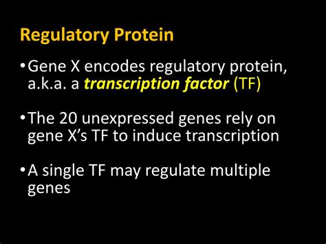 Ppt Bioinformatics Powerpoint Presentation Free Download Id1605727