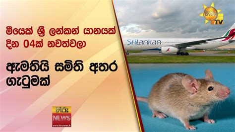 මීයෙක් ශ්‍රී ලංකන් යානයක් දින 04ක් නවත්වලා ඇමතියි සමිති අතර ගැටුමක්