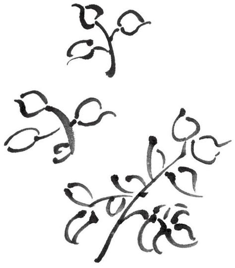 用python画出叶子 不会用夹叶法画树叶？教你3种常见树叶画法，简单易学，快来临摹 csdn博客