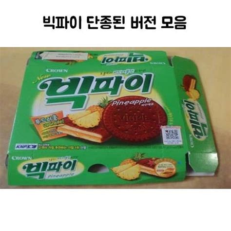 빅파이 단종된 버전 모음 인스티즈 Instiz 인티포털 카테고리