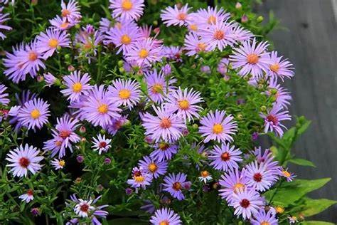 接下来28天得福星庇佑，他们谈笑间就能迎来好运，收入也会大涨 财运 机会 天秤座