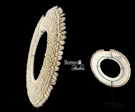 Papua Shell Plate Cowrie Shells Neck Adornment Of 10 Etsy