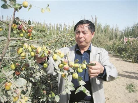 尹飞虎扎根泥土籽粒壮