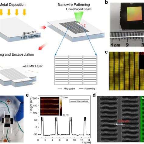Flexible Multidimensional Strain Sensor Comprising The Hamn Network Download Scientific