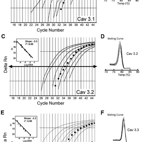 Quantitative Real Time Pcr Qpcr Assays For Cav3 1 α 1 G Cav3 2 Download Scientific