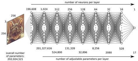 4 Structure And Parameter Distribution Of An 8 Layer Fully Connected Download Scientific