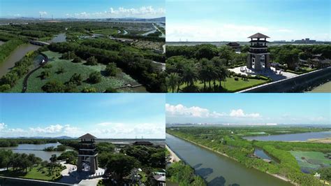 （4k航拍）广州南沙湿地公园3840x2160高清视频素材下载编号8793028实拍视频光厂vj师网