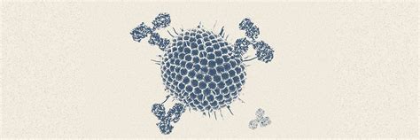 6 Best Ways To Detect And Prevent Stis Lynk