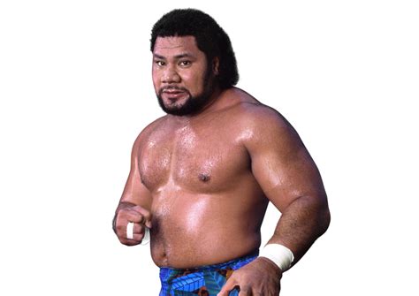 Haku Wwe