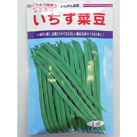 インゲン 種 つるあり いちず菜豆 90ml カネコ育成 イケダグリーンセンターヤフー店 通販 Yahooショッピング