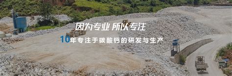 重质碳酸钙厂家 重钙厂家 南阳钙粉 河南盖尔泰实业有限公司