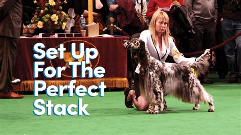 Setting Up For The Perfect Stack Youtube