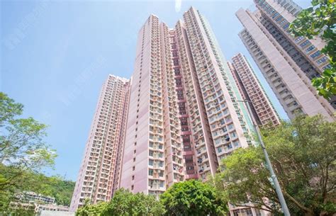 美孚居屋荔欣苑錄蝕讓個案 2房單位居二市場455萬元成交 樓市資訊 美聯物業