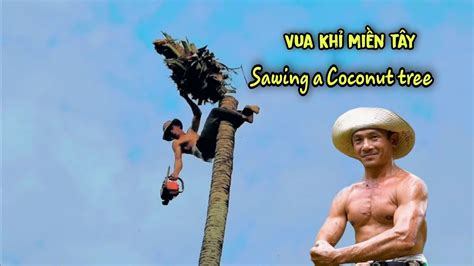 Vua Khỉ Miền Tây Cùng đệ Tử đến Long Khánh Đồng Nai Cưa Hàng Chục Cây