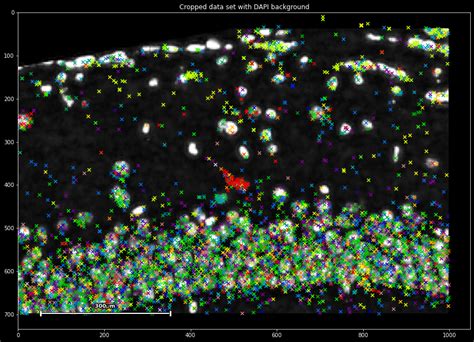 Tutorial Pixel Map Integration Plankton Py Documentation