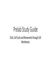 Cell Structure Study Guide Organelles Cell Cycle Mitosis Course Hero