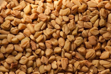 Fenugreek Vs Fennel Seed Spiceography Showdown