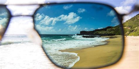 Polarised Sunglasses Noosa Optical