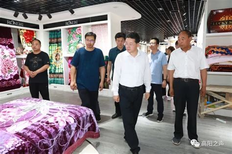 高怀军到蒲口乡邢家南镇调研澎湃号·政务澎湃新闻 The Paper